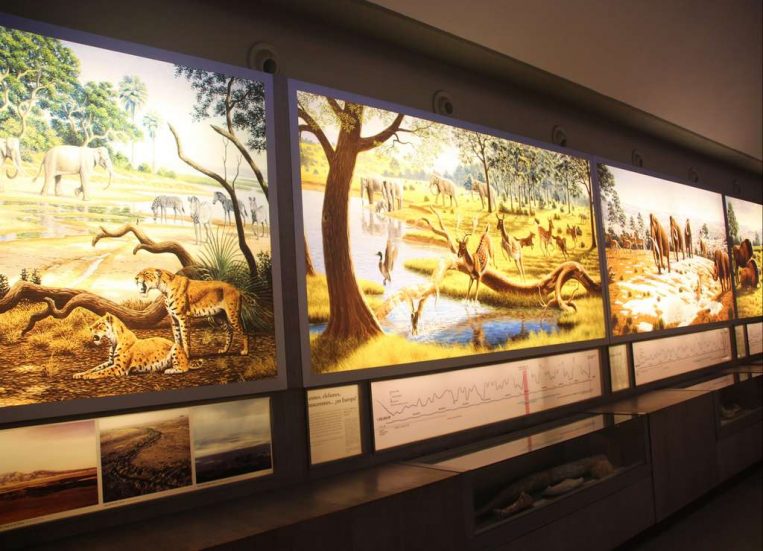 Cuevas de Altamira: entradas, visita y precios ️