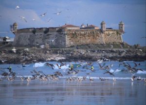 Qué ver en Matosinhos, Portugal ️ - La vida son dos viajes