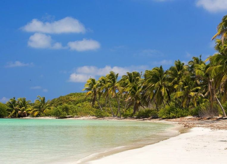 Qué ver en Riviera Maya y alrededores: 15 ideas ️